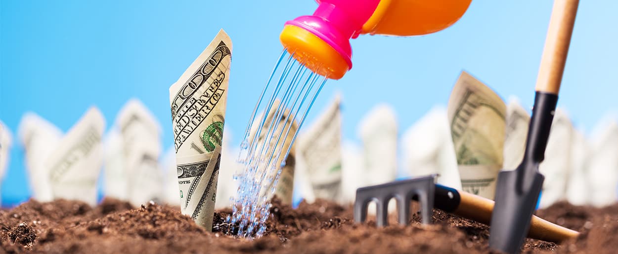 Money Doesn't Grow on Trees - Todd Talks | Credit & Debt